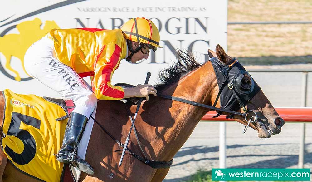 XXXX Gold Narrogin Cup 2020 - Narrogin Racing