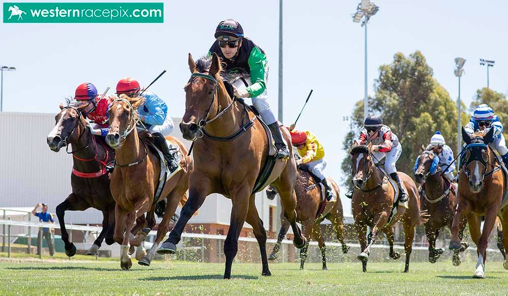 XXXX Gold Narrogin Cup 2020 - Narrogin Racing